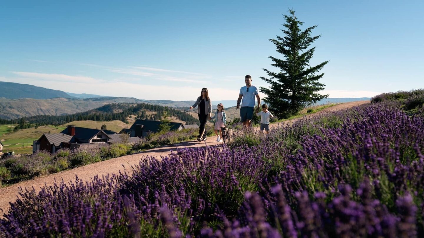 Yoga Platforms - Predator Ridge